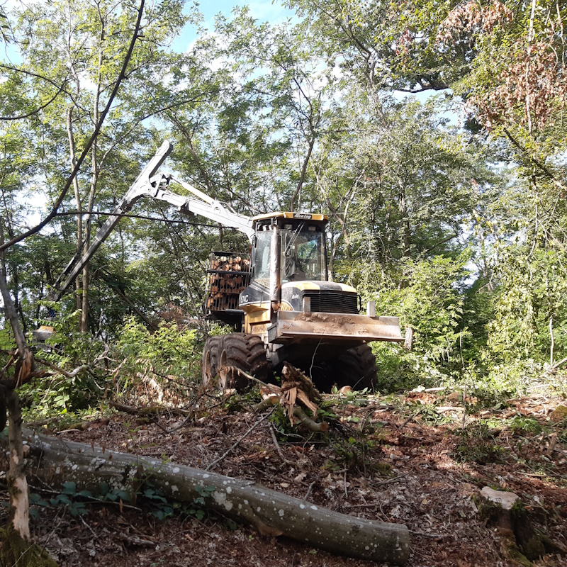 Le cloisonnement d'exploitation forestière - Actualité forestière - Taurë